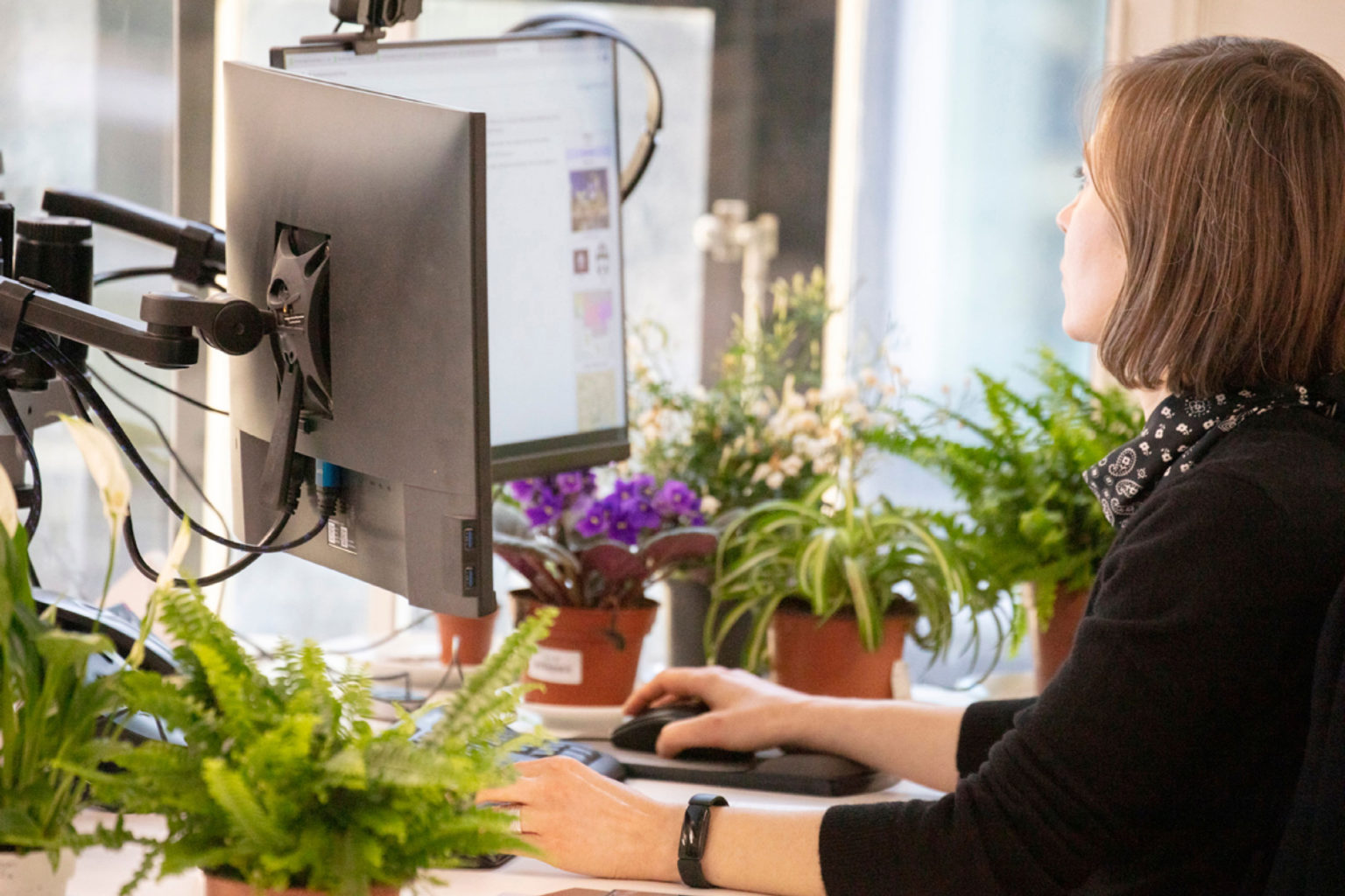 The Edge – PLP Labs